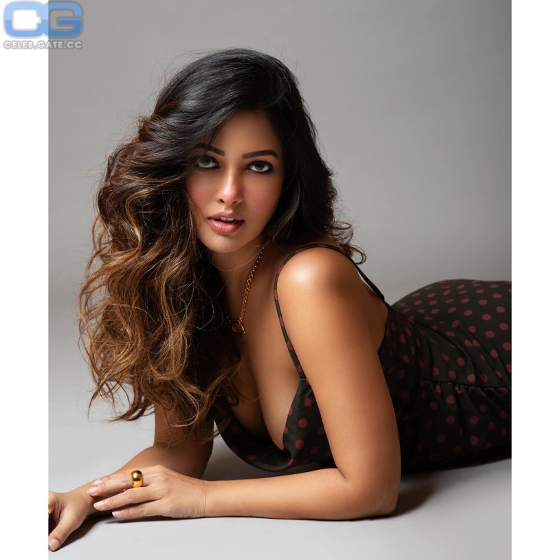 Riya Sen nude, pictures, photos, Playboy, naked, topless, fappening